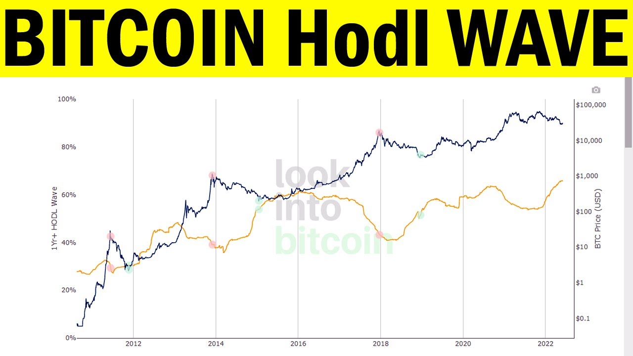1 Year+ Hodl Wave Chart Explained | What Onchain Data Tells Us | Bitcoin HODL Wave - YouTube