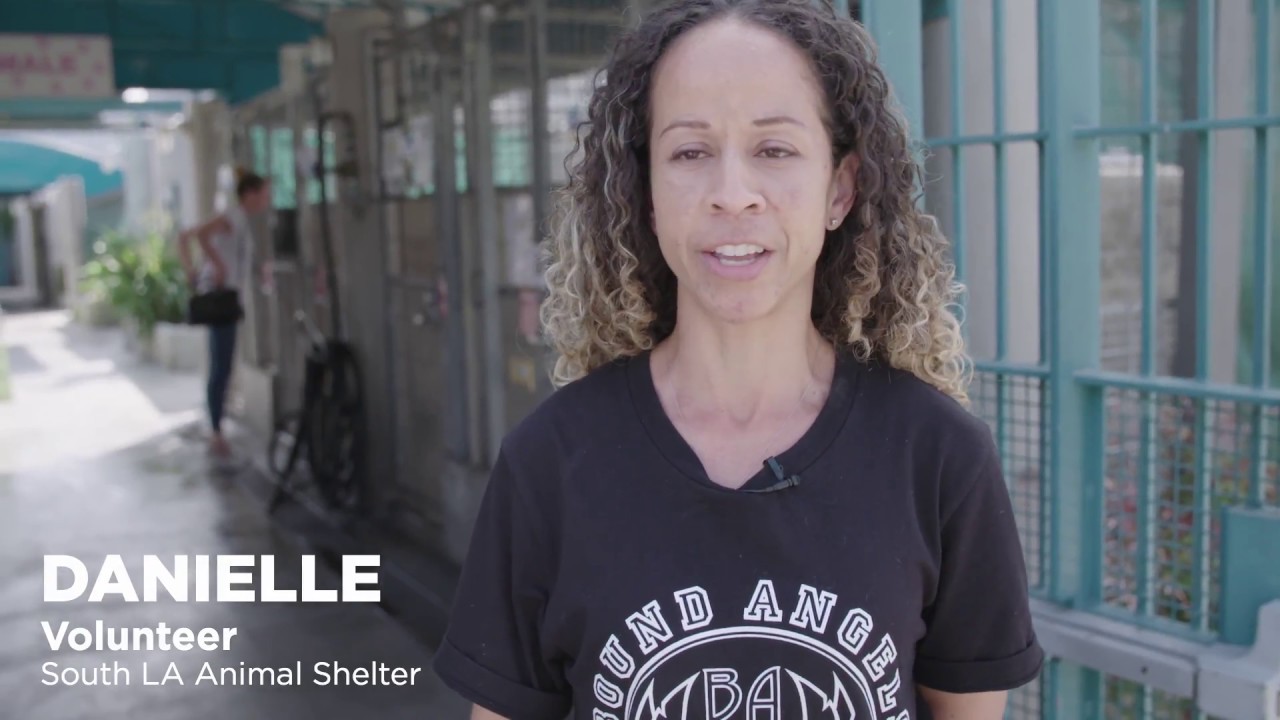 Danielle is a Volunteer at the South LA Shelter - YouTube