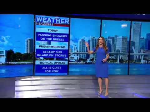 WSVN 8am Open - YouTube