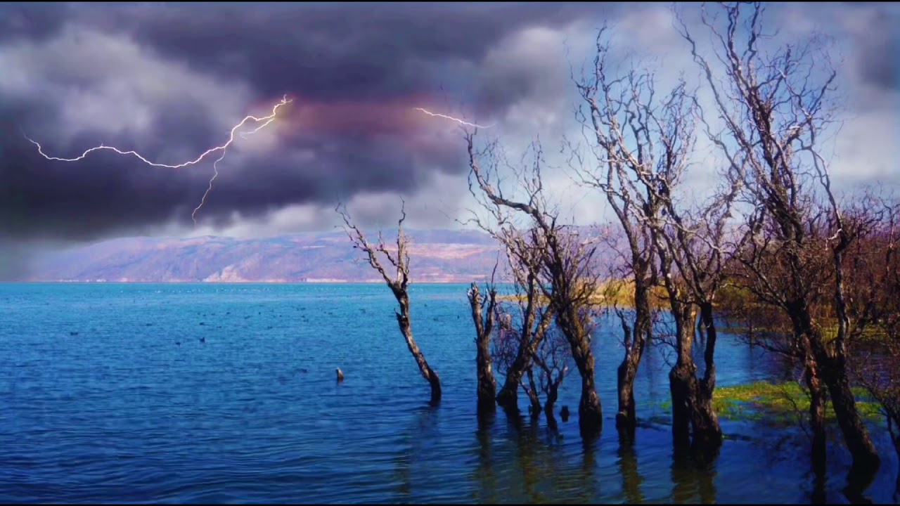 051 - beautiful natural background video - animated background - YouTube
