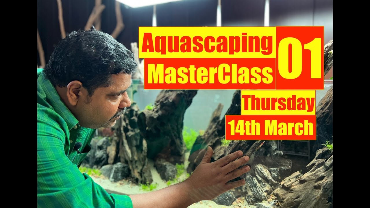Aquascaping MasterClass 01 | How to :- Nature Aquariums | Mayur Dev Aquascaper | Online Course ...