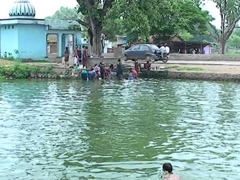 Children Swimming in a Pond Talab of Mopka Village Bilaspur C G and ...