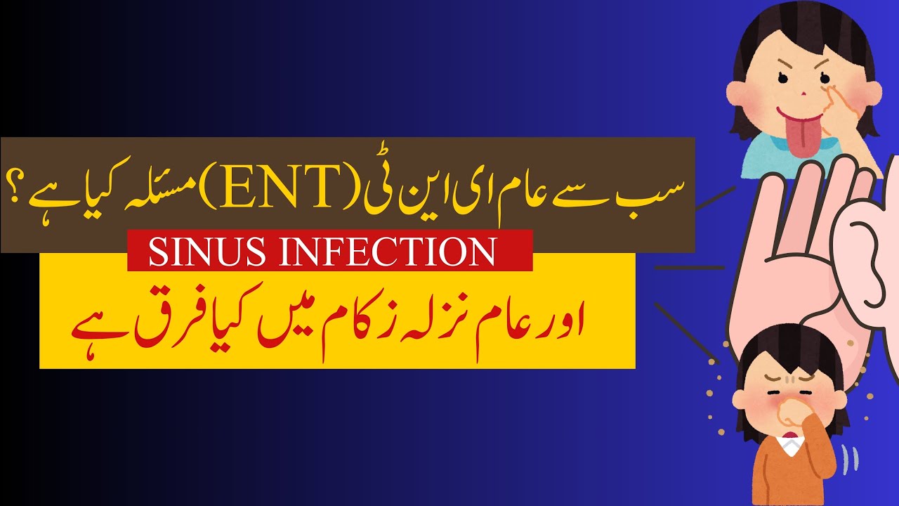 Most Common ENT Problems & Difference Between Cold and Flu | Nose, Ear ...