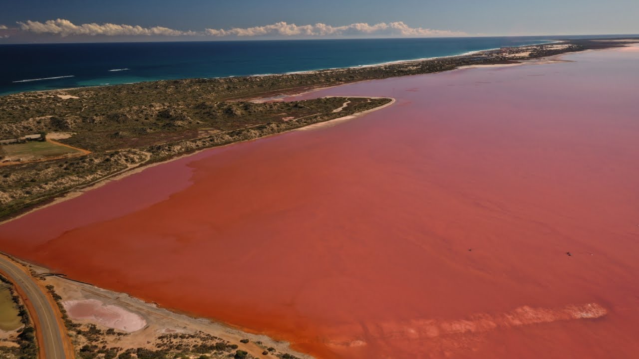 Hutt Lagoon - a pink lake in Western Australia - 4K Ultra HD - YouTube