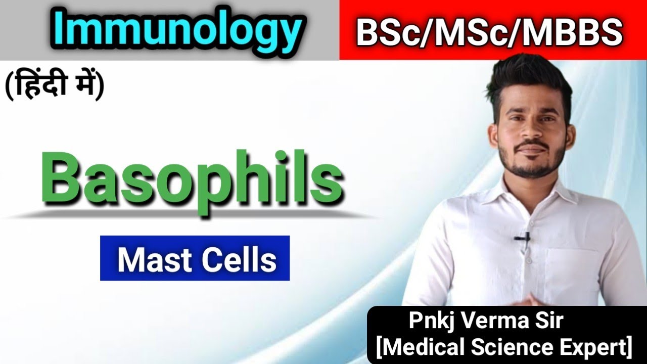 Basophils || Mast Cells || Immunology - YouTube
