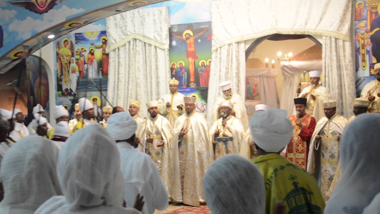 2016 Hidar Tsion Nigs Highlights - YouTube