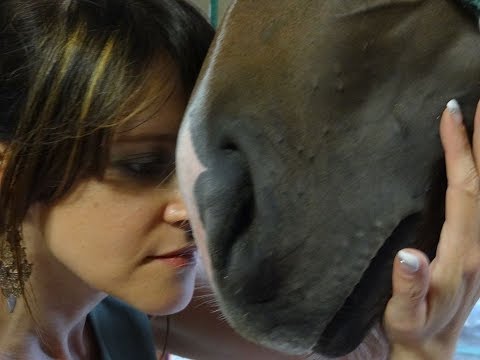 Horse Club Boschetto