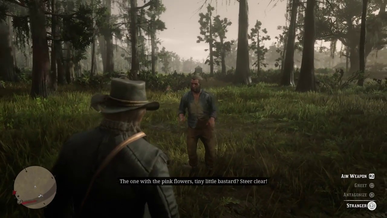 Red Dead Redemption 2 - Where To Poisonous Flower (1080p) (No ...