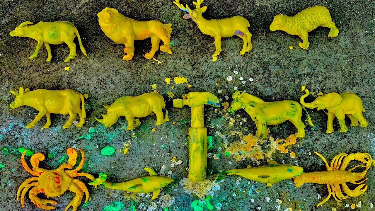 Membersihkan mainan sapi,kerbau,singa,gajah,kepiting,ikan hiu,badak ...