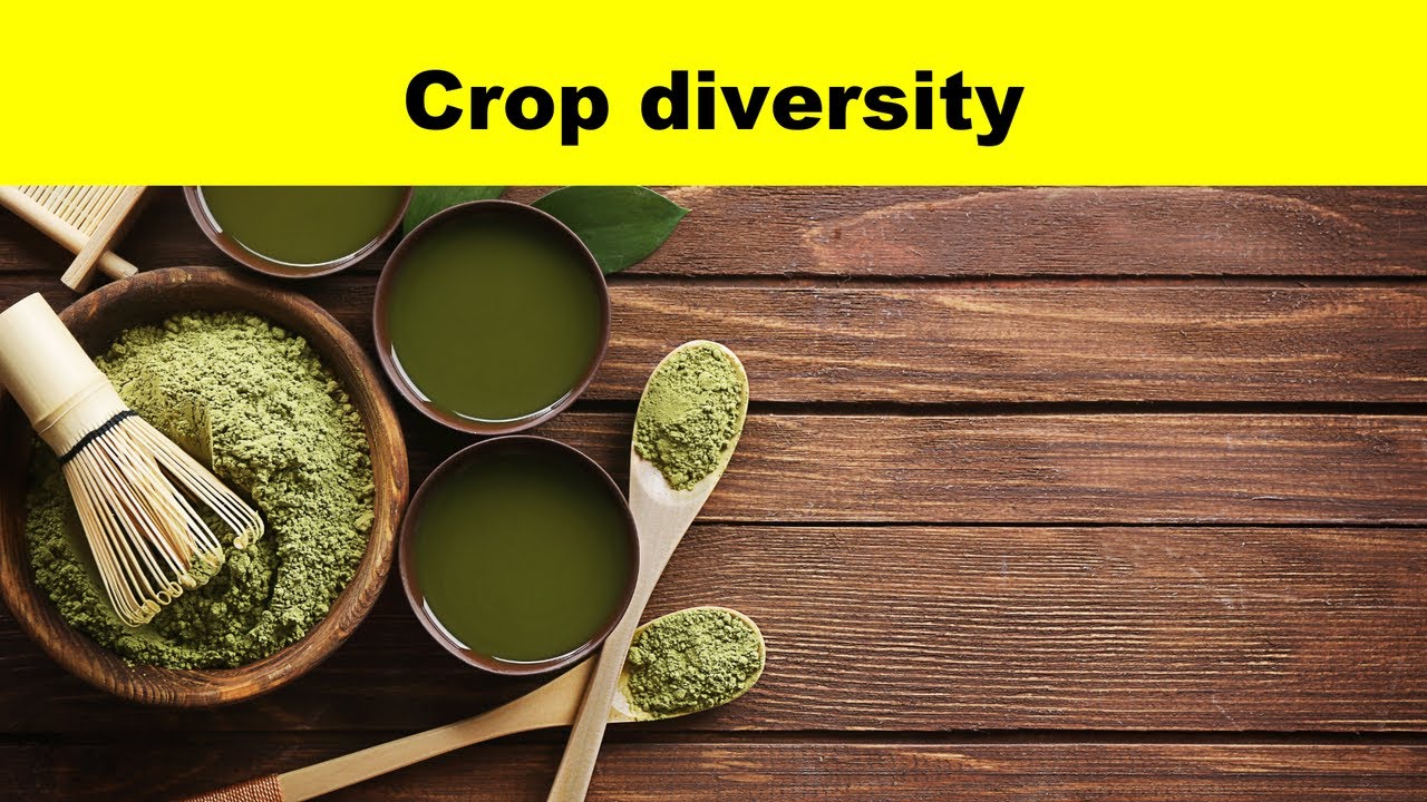 Crop diversity - Agriculture and farming Explained - YouTube