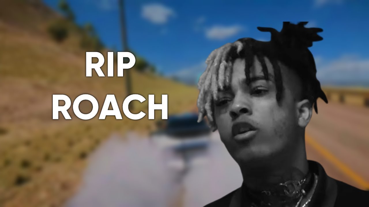 XXXTENTACION - RIP Roach (legendado) - YouTube