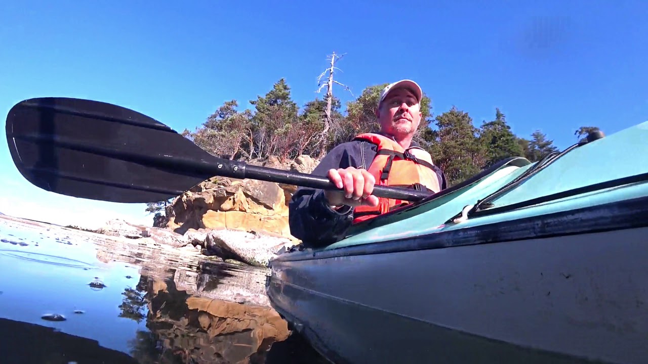 Shark attacks kayak - YouTube