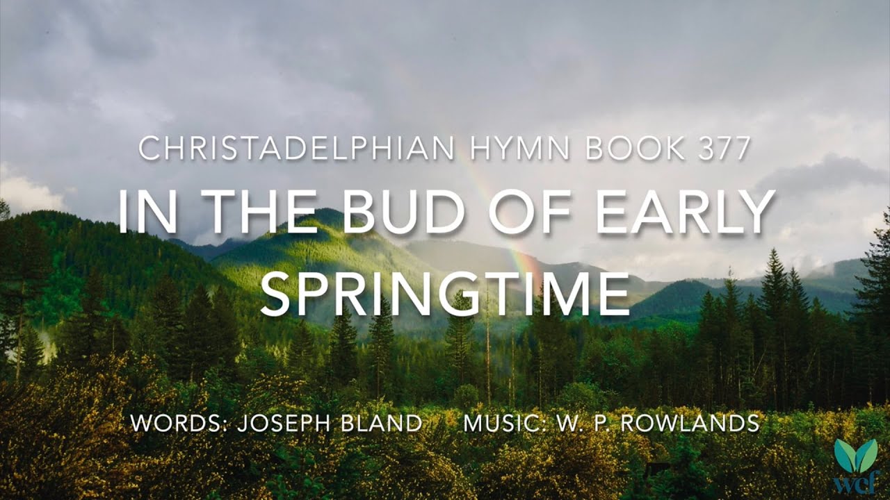 In the Bud of Early Springtime - Hymn 377 - Lyric Video - YouTube