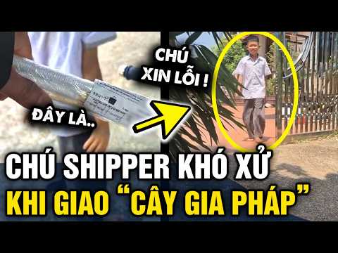 Gọi cậu bé RA NHẬN HÀNG, chú shipper ruột XIN LỖI vì biết rằng KHÔNG LÀM KHÁC ĐƯỢC | Tin 3 Phút