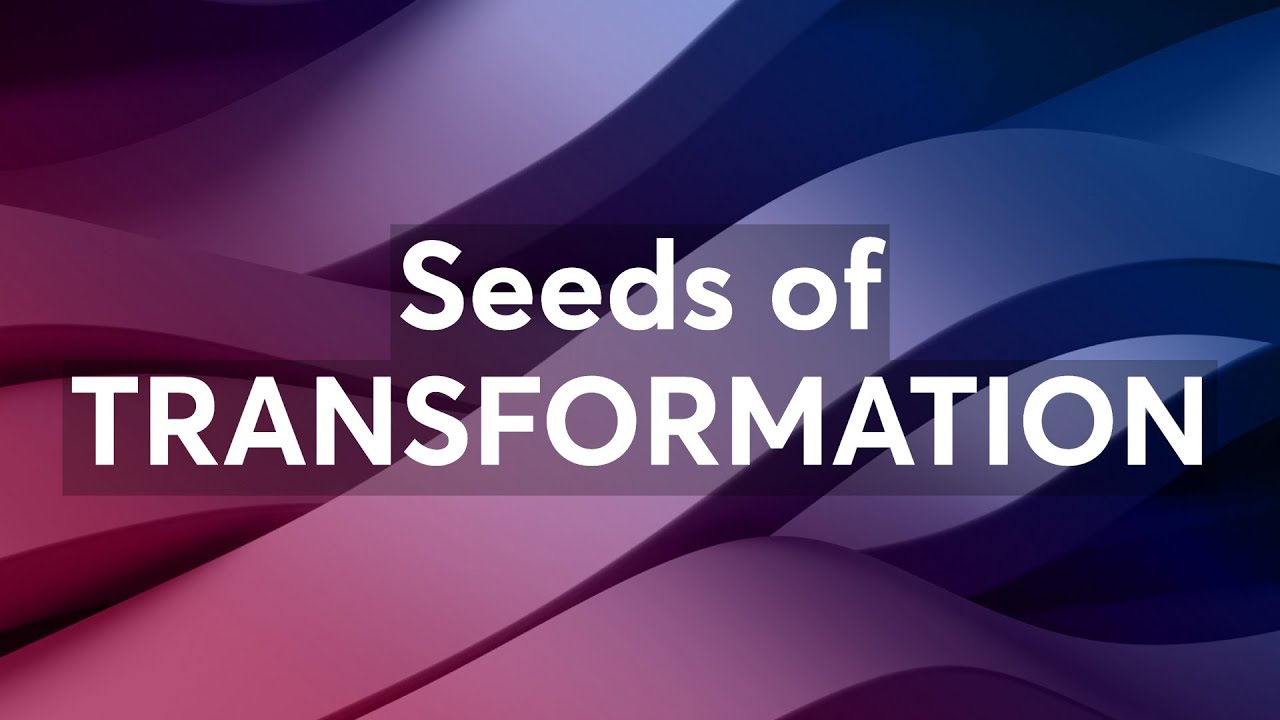 Seeds of Transformation 📱 - YouTube