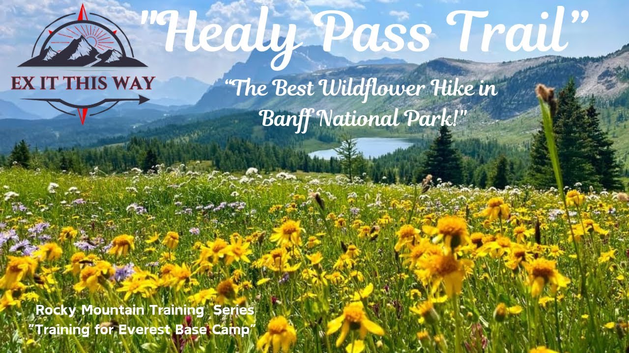 Ex It This Way to The Best Wildflower Hike in Alberta: Discover the ...