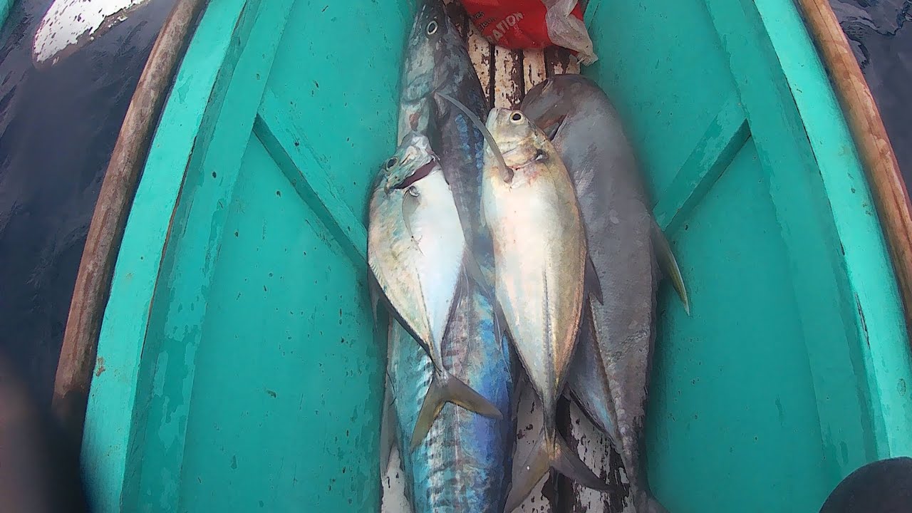 vlog 01-handline fishing tawtaw balahibo Ng manok Ang pain catching ...