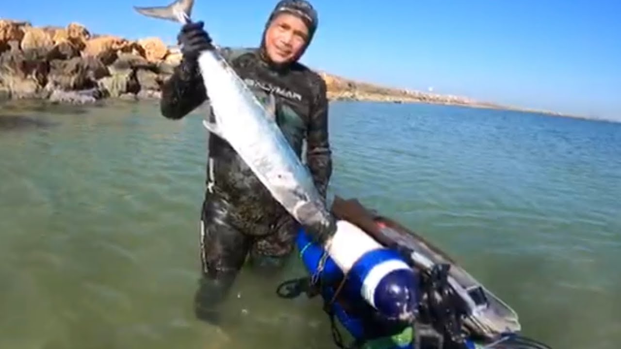First king mackerel of 2023 spearfishing UAE - YouTube