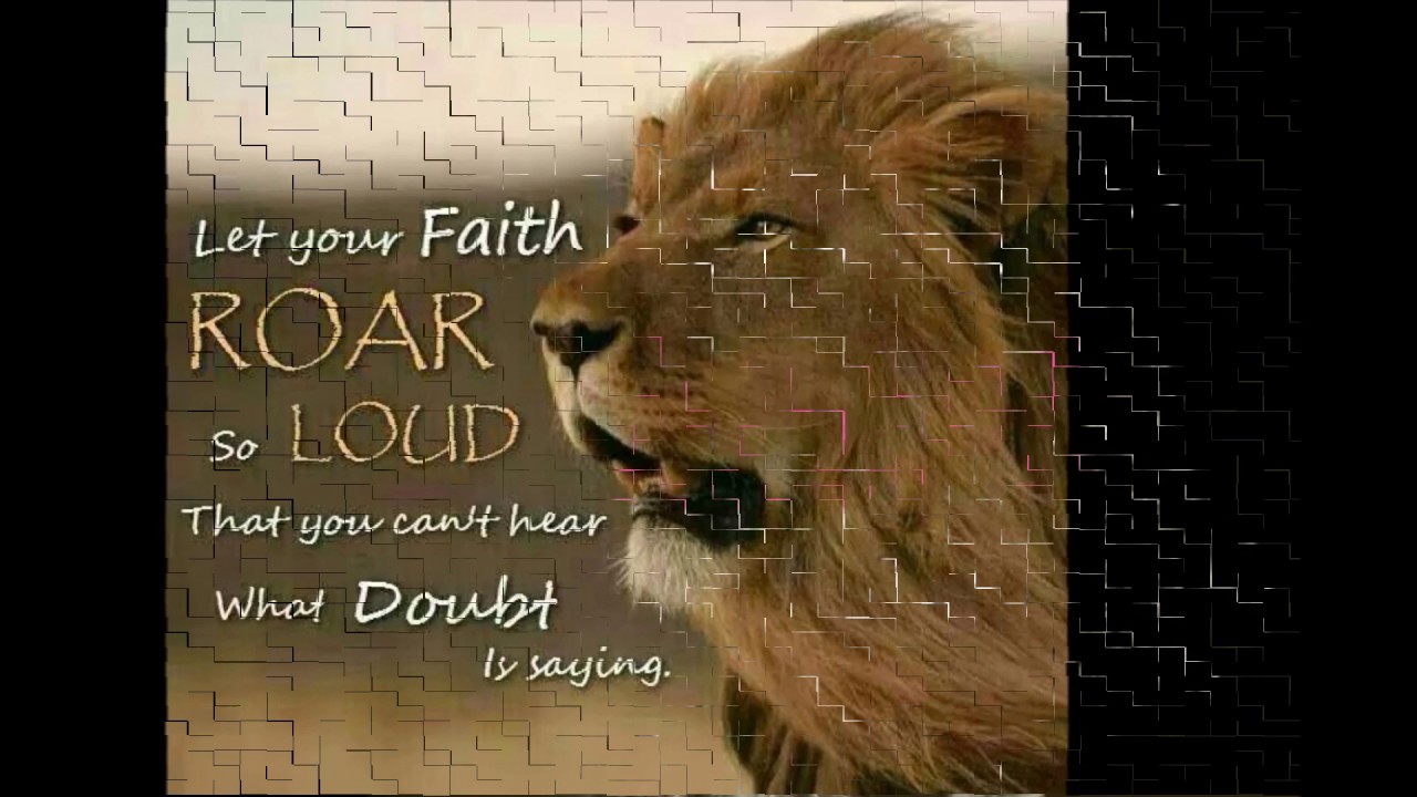 lioness conference video - YouTube