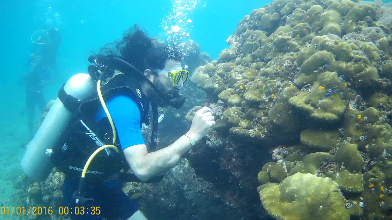 Anil Bahl Sea Diving Andaman Island - YouTube