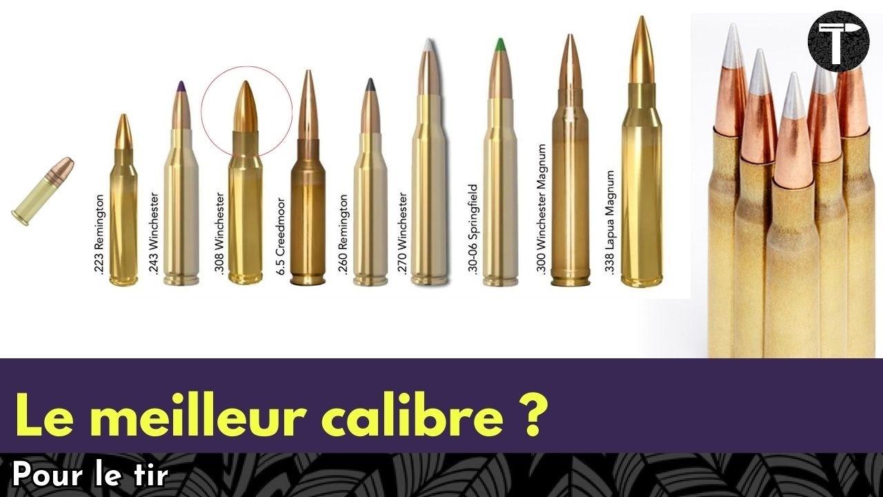 #308 W, le meilleur calibre de tir ? - YouTube
