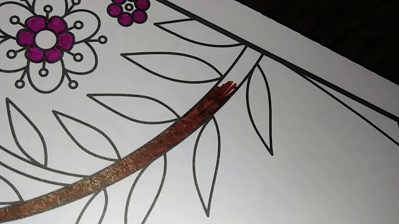 Coloring the Lady Bug with Angie - YouTube