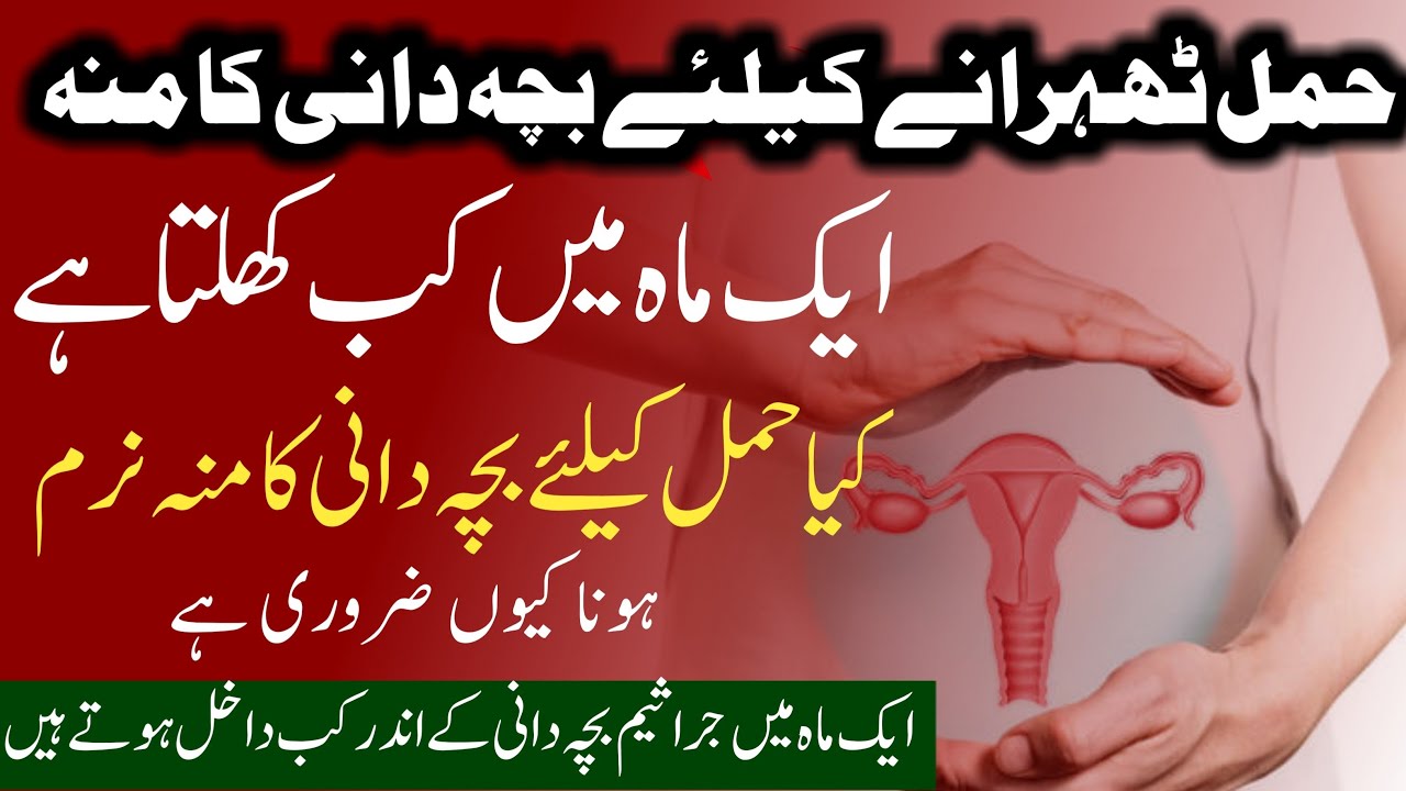 bacha Dani ka muh Aik mah ma Kab or Kitne bar Khulta ha jaldi Hamal ...