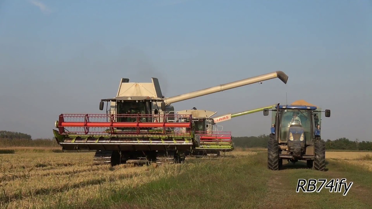 Rice Harvest 2016 - CLAAS Lexion 770 & 760 Steel Tracks - YouTube