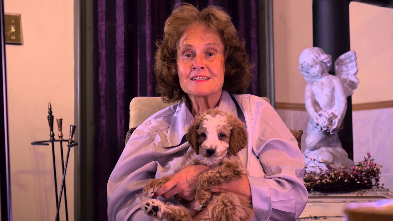 Roly Poly Puppies - YouTube