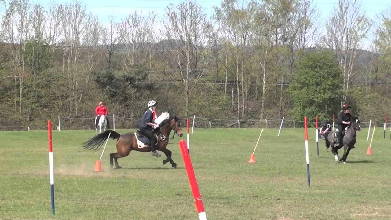 Mounted Games - Reserve Shropshire Champions 2013 - Team Bedfordshire ...