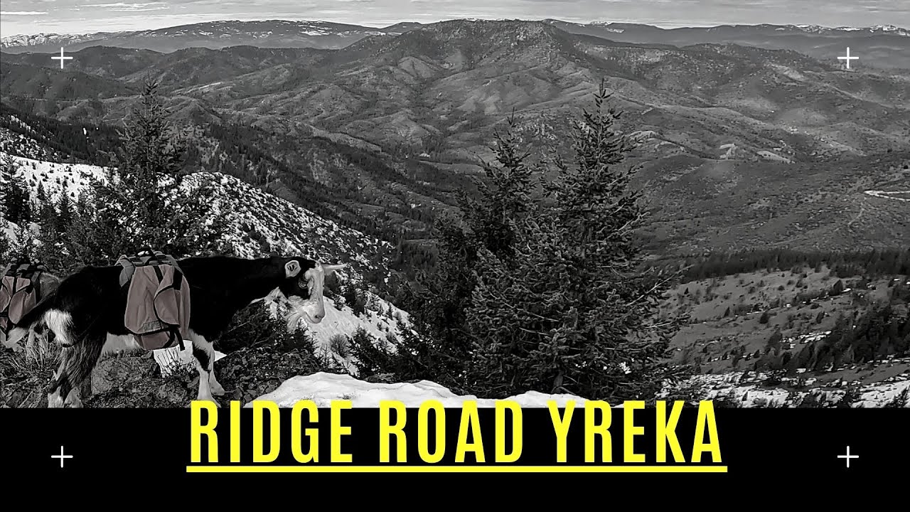 Goat Hike Ridge Rd Yreka - YouTube