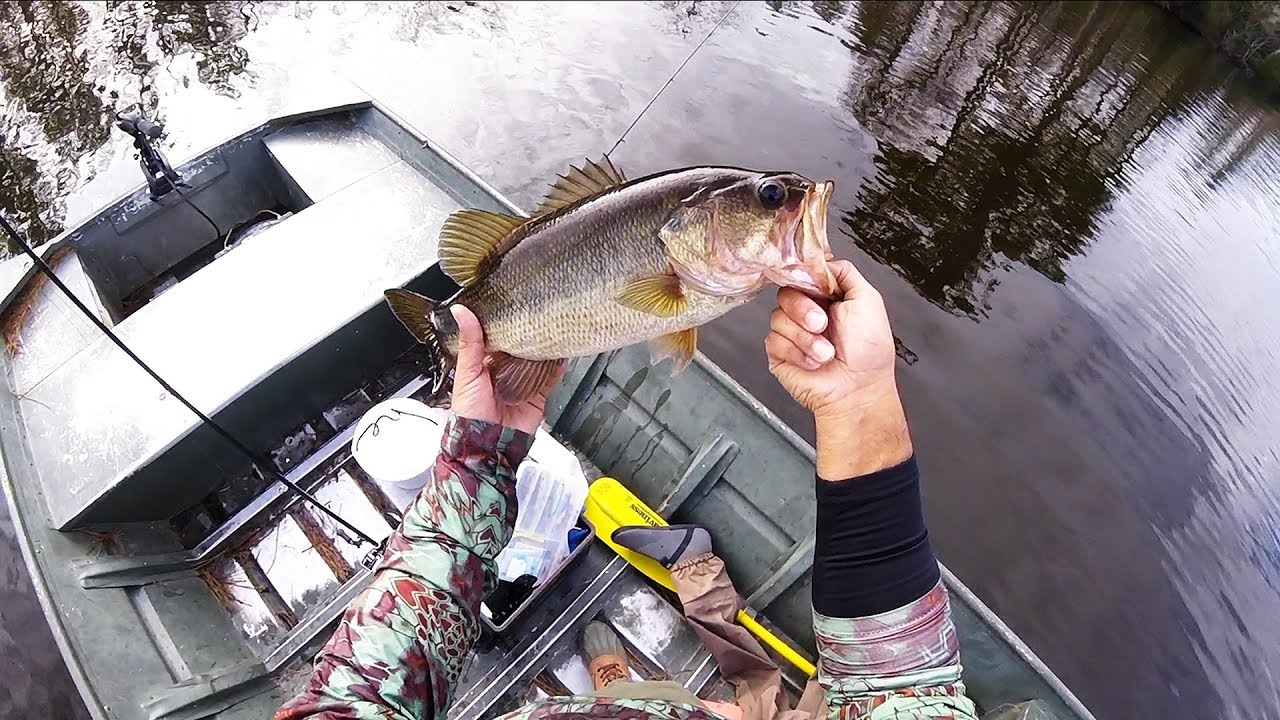 Virginia Bass and Crappie - YouTube