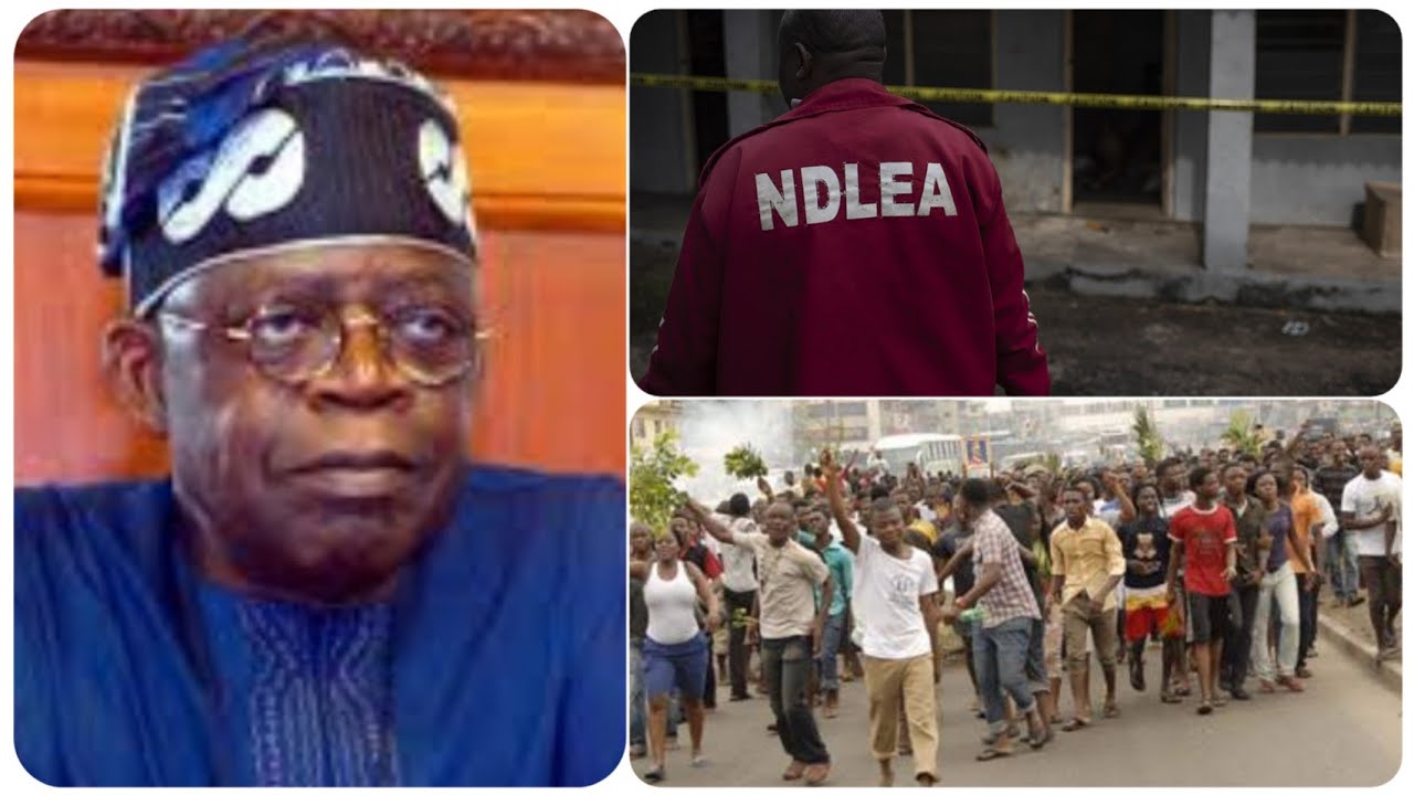 NDLEA: TINUBU'S DRUG CASE PUBLISHED BY INT'L MEDIA PLATFORM CAUSING W@R ...