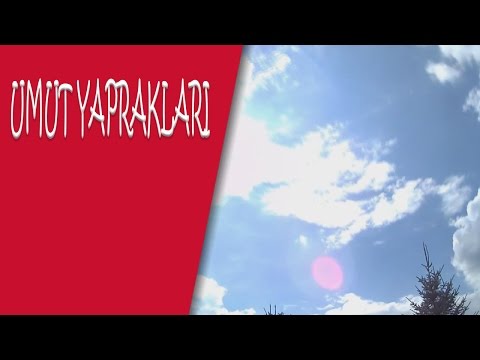 Öznur Atayeter - Umut Yaprakları Şiiri