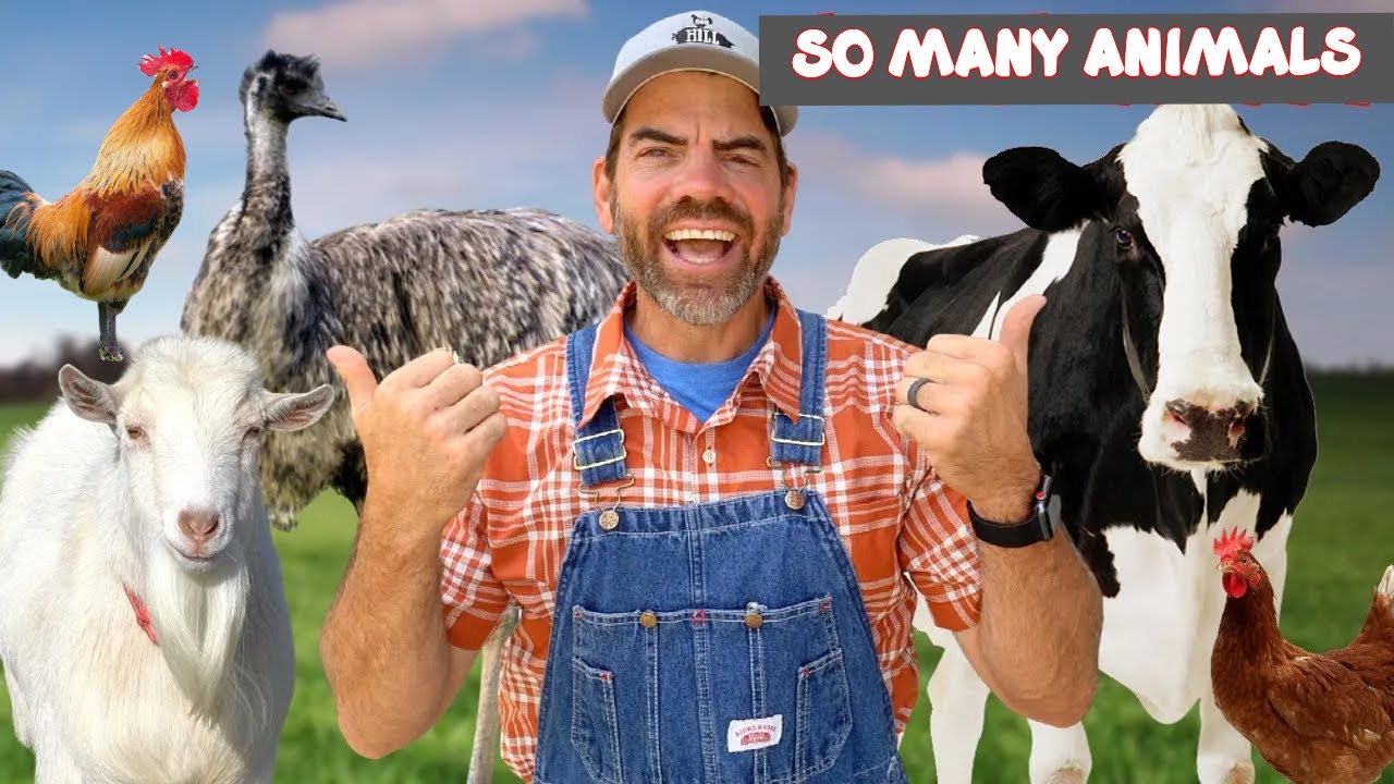 Meet the Animals With Farmer Jason! (Learn About Animals, For Kids ...
