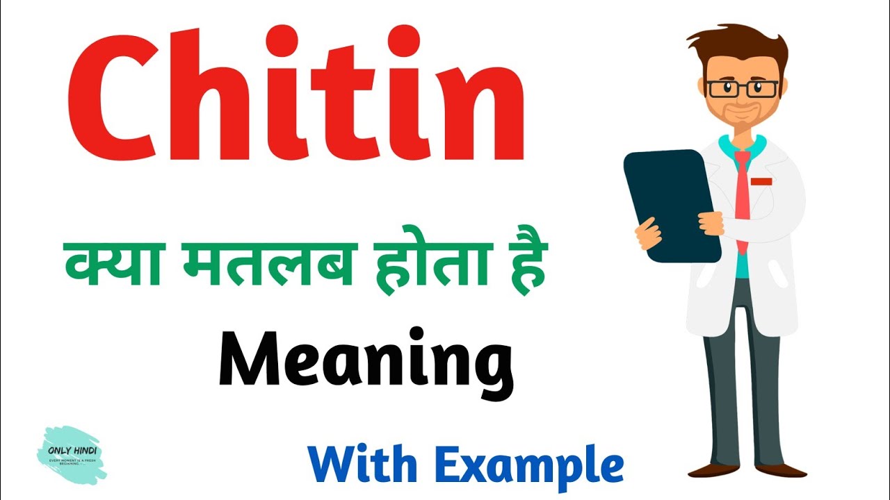 Chitin meaning in hindi | Chitin Ka Kya Matlab hota hai | Daily use ...