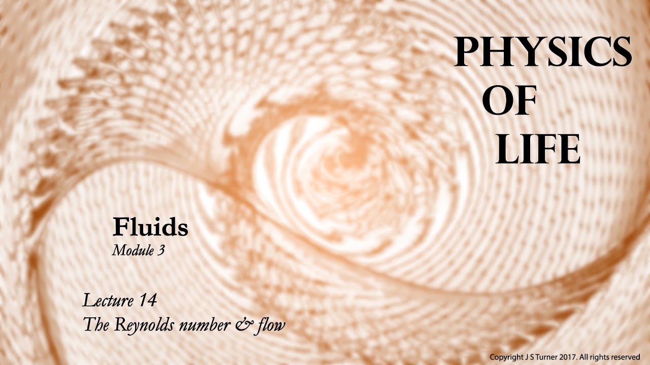 Lecture 8. Introduction to the Reynolds number and flow - YouTube