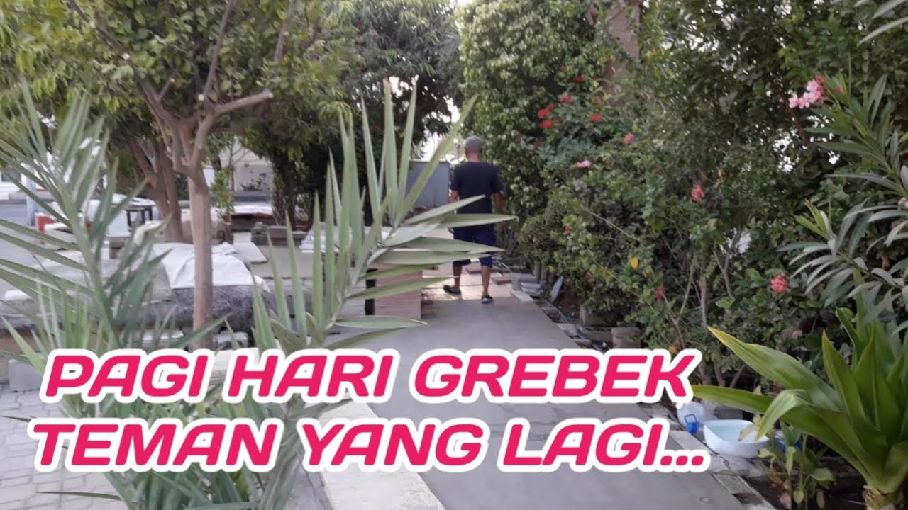 PAGI HARI GREBEK TEMAN YG LAGI KERJA.... - YouTube
