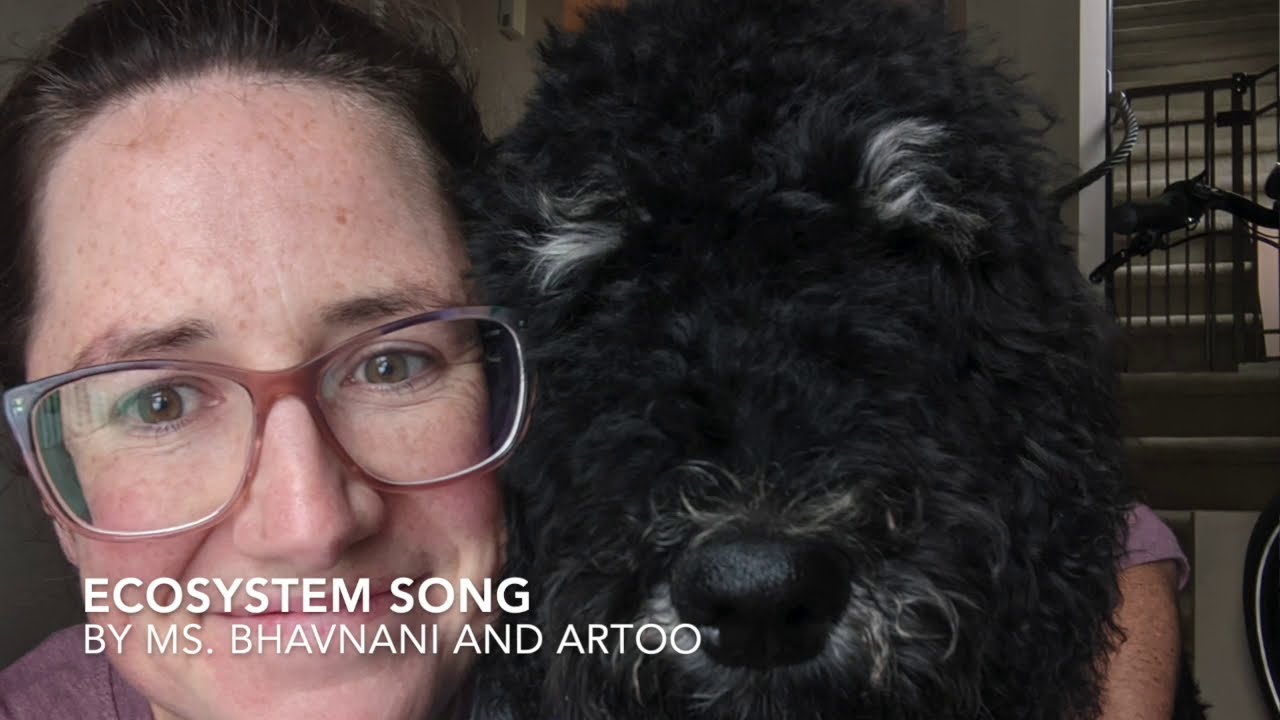 Bhavnani Ecosystems Song - YouTube