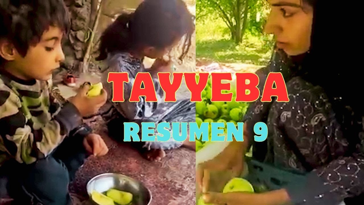 La historia de Tayyaba plerd (Resumen 9) el día a día de Taybeh y sus ...