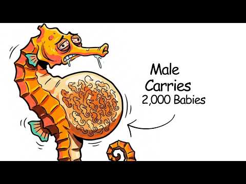 Why It Sucks To Be Born As a Sea Horse
