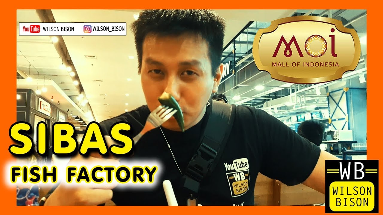 Pasar Ikan didalam Mall - SIBAS Fish Factory || MALL Of INDONESIA - YouTube