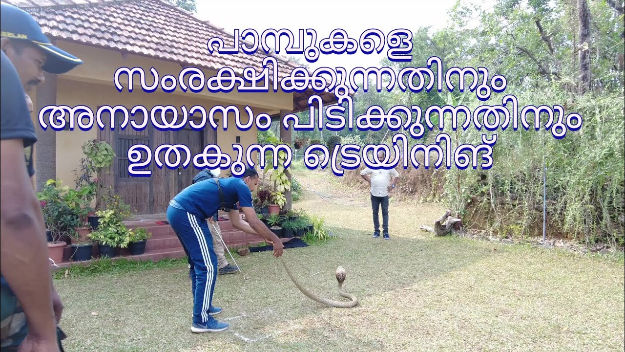 SNAKE CATCH TRAINING - YouTube