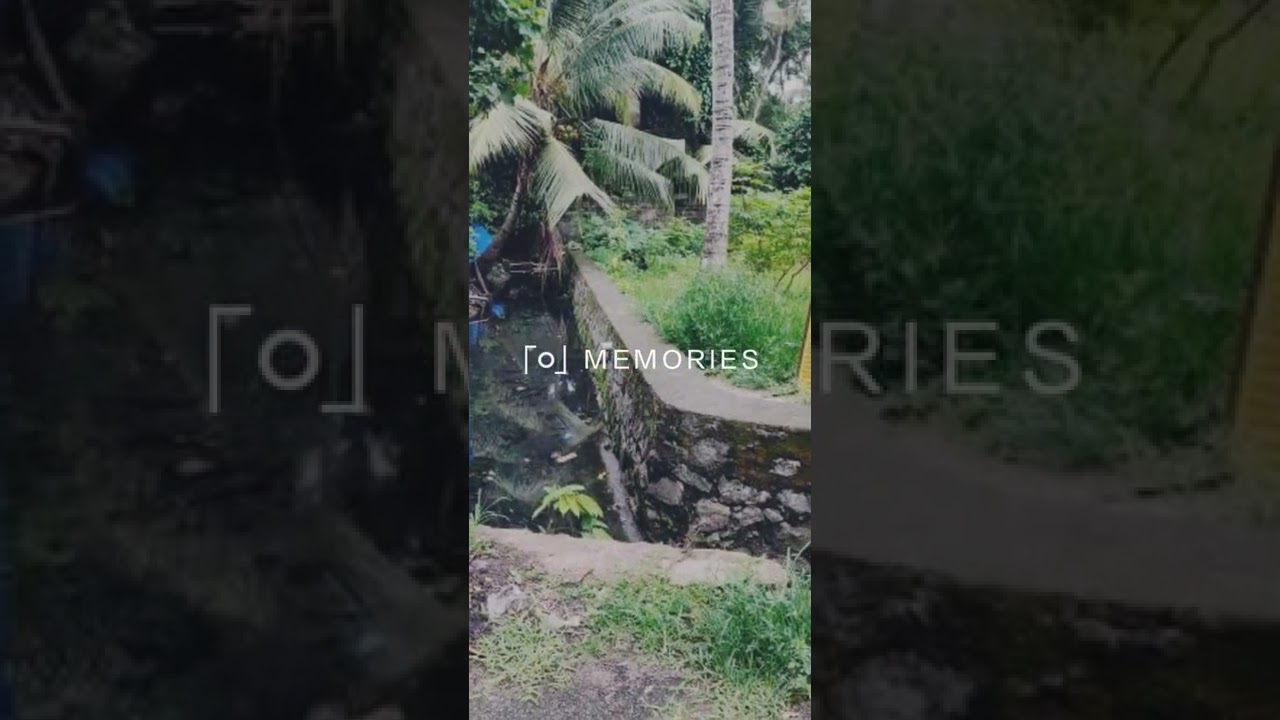 Renovation of stream in w6 laksham veedu colony Edavanakad - YouTube