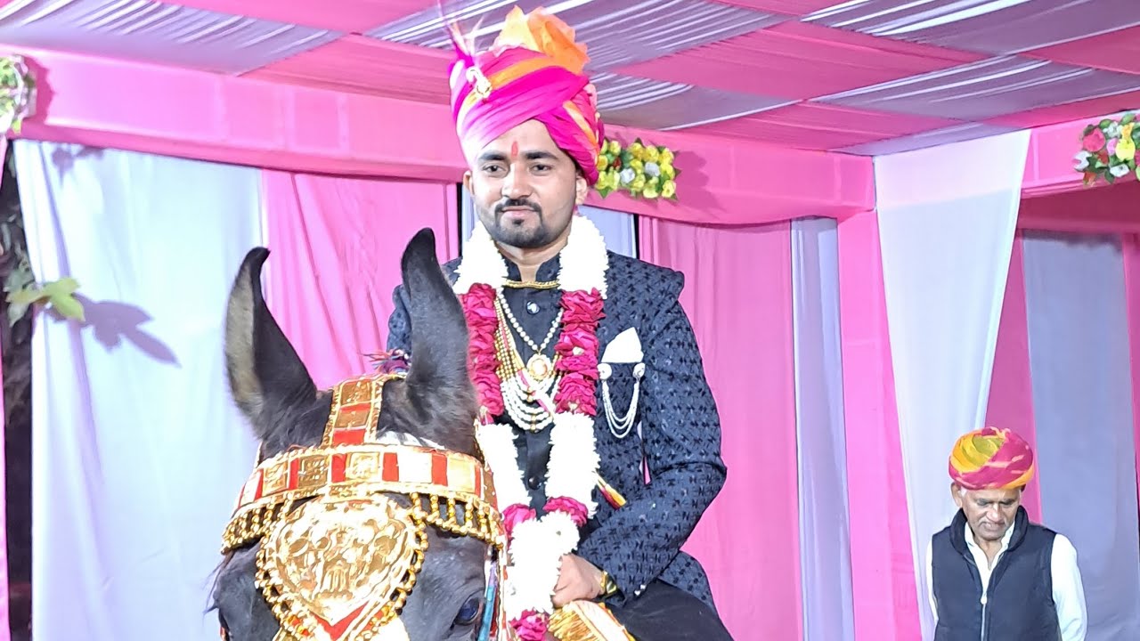 राजपूती डास marride for brother parbat singh vs sanjna kunwar nagani # ...