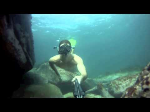 Spearfishing Freshy Rocks - YouTube