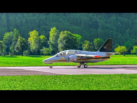 SIAI Marchetti S 211 Jet Trainer at ZigAirMeet 2023 - YouTube