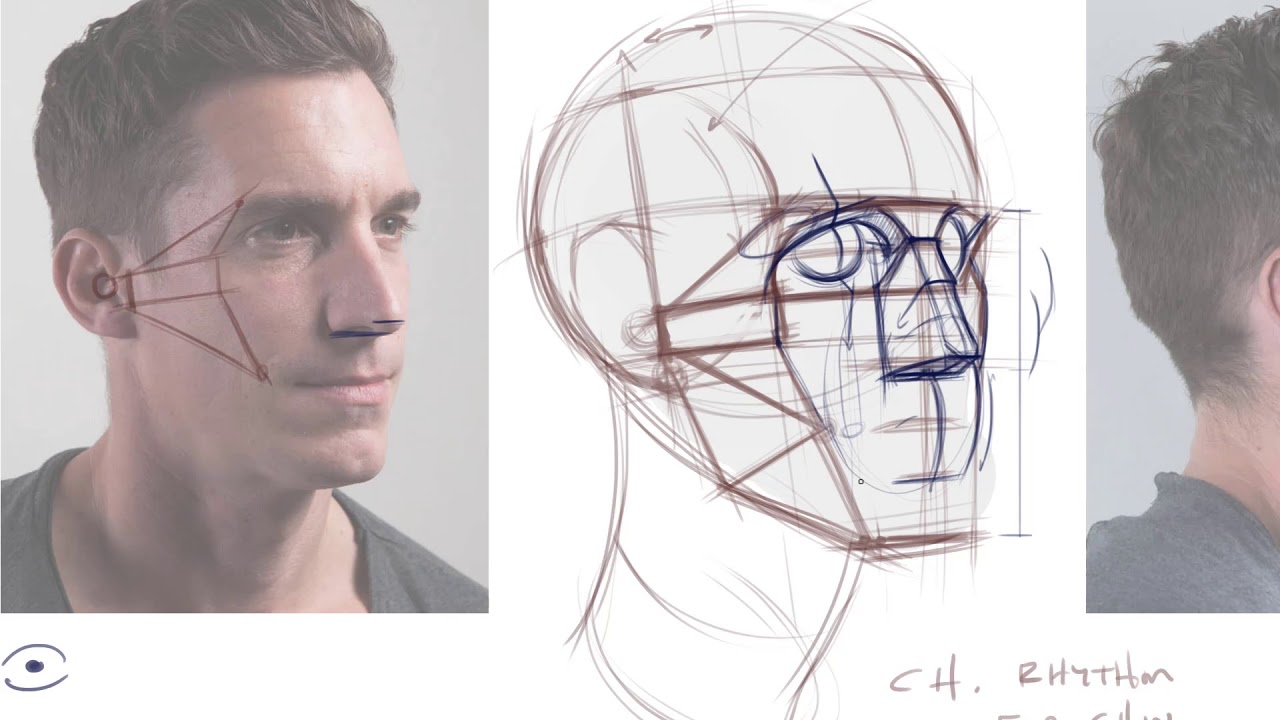 Head Drawing, Part 6: Three-quarter and Profile views - YouTube