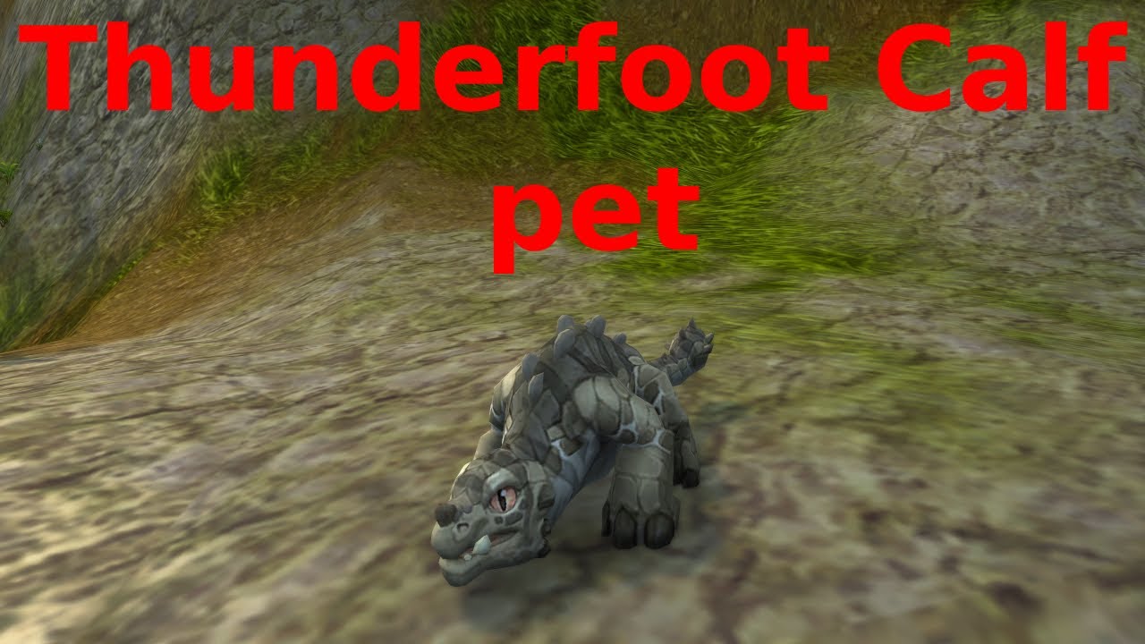 Thunderfoot Calf - pet - wow dragonflight - YouTube