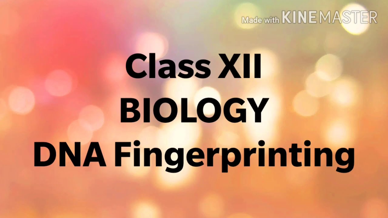 DNA Fingerprinting | CBSE | Class XII | Biology - YouTube